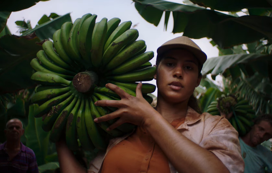 Aldi | Exterior — Anuncios.com