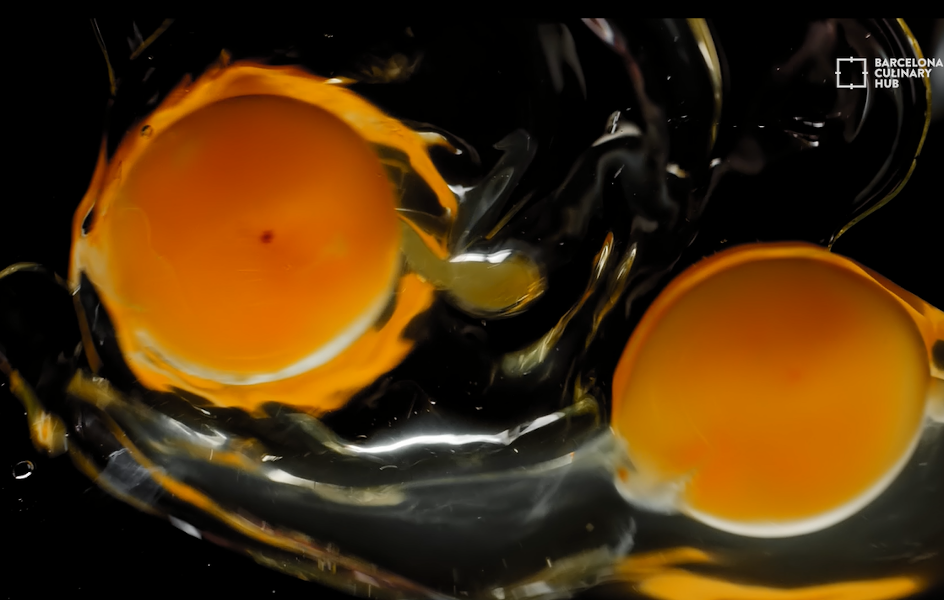 Barcelona Culinary Hub | Televisión — Anuncios.com